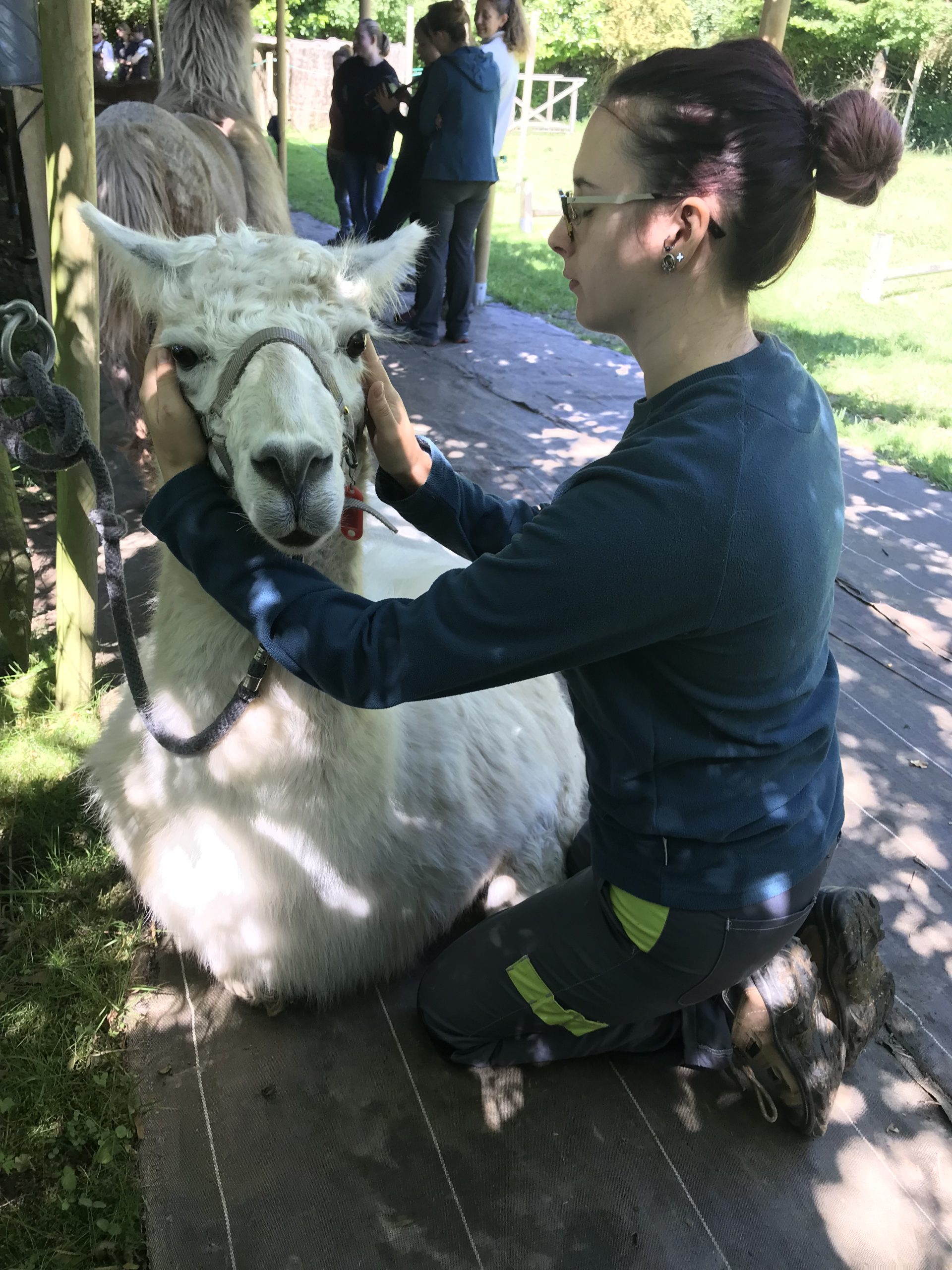 Lisa Belin - Mon parcours en tant qu'ostéopathe animalier